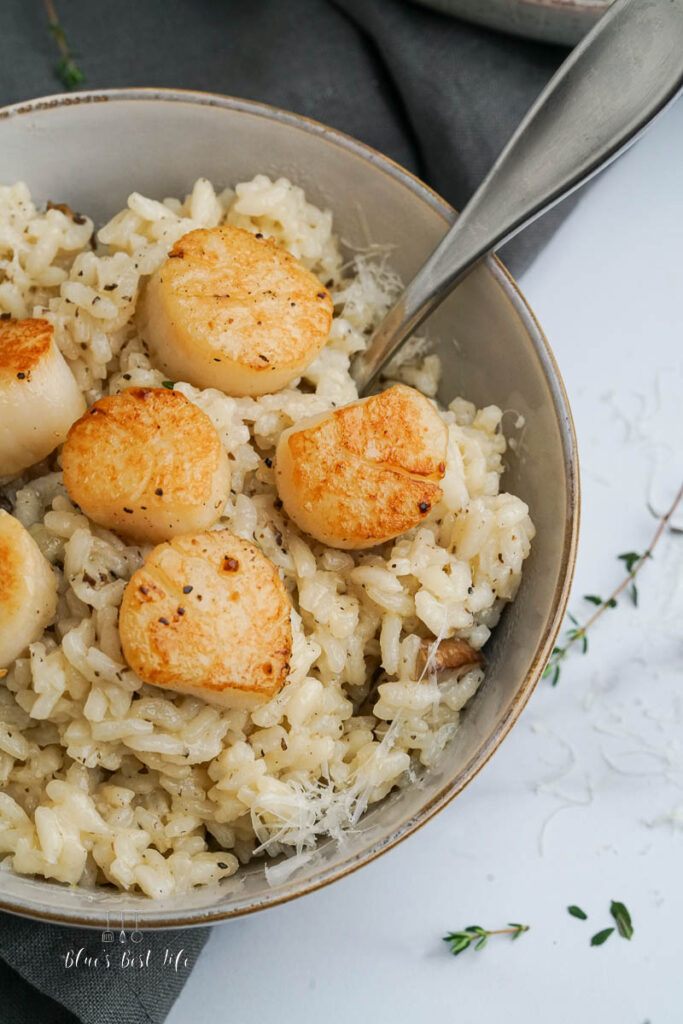 Mushroom Truffle Risotto with Cast Iron Seared Scallops - Blues Best Life