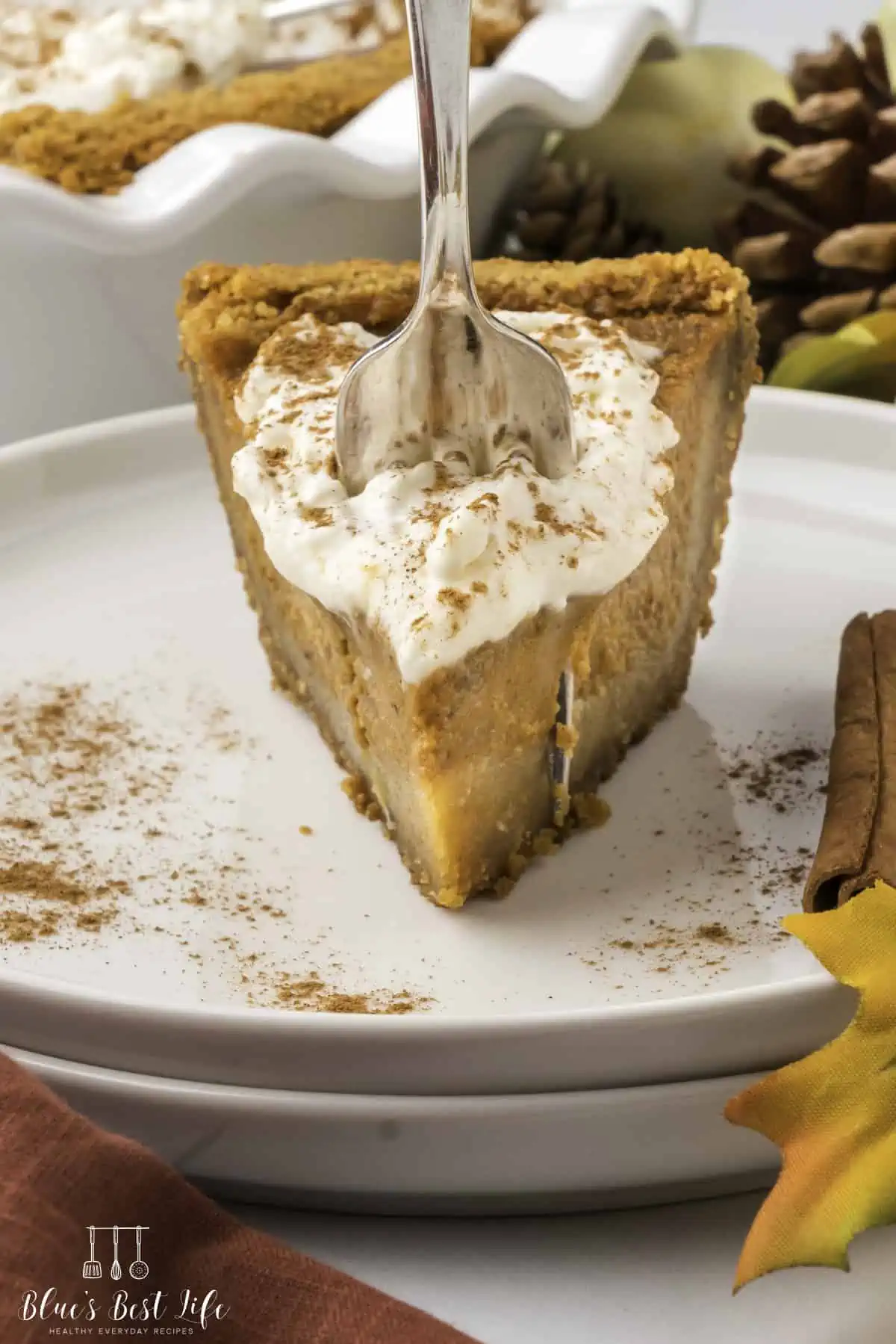 Easy Homemade Whipped Cream Recipe For Pumpkin Pie - Blues Best Life