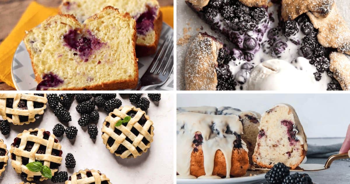 19 Blackberry Recipes (Breakfast, Desserts & More) - Blues Best Life
