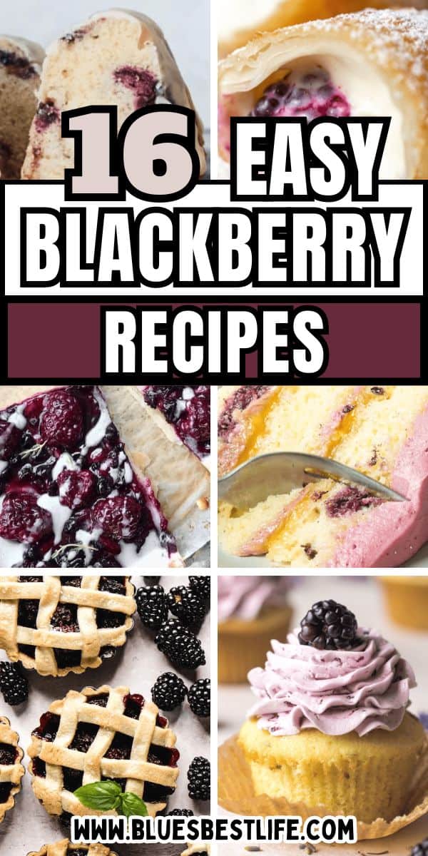 19 Blackberry Recipes (Breakfast, Desserts & More) - Blues Best Life