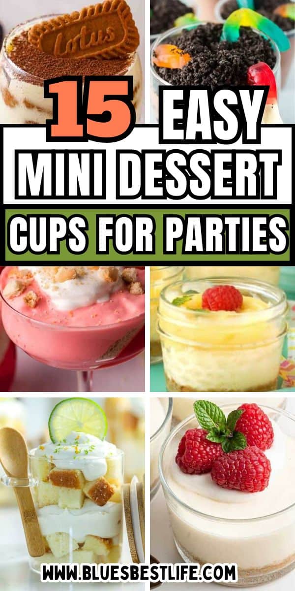 27 Mini Dessert Cups For Parties - Blues Best Life