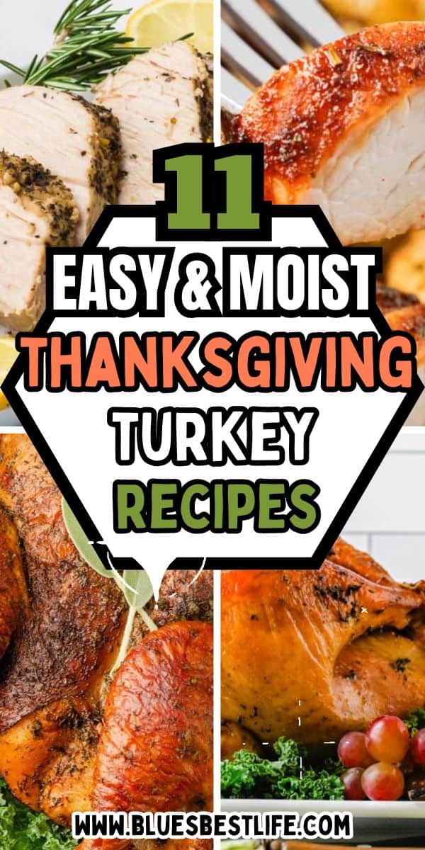 11 Thanksgiving Turkey Recipes - Blues Best Life