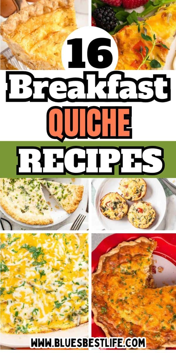 16 Delicious Quiche Recipes - Blues Best Life