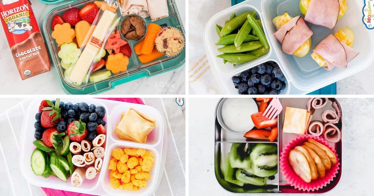 12 Lunch Box Ideas for Kids - Blues Best Life