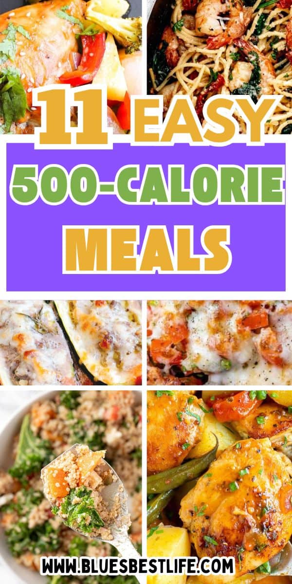 11 Healthy 500 Calorie Meals - Blues Best Life