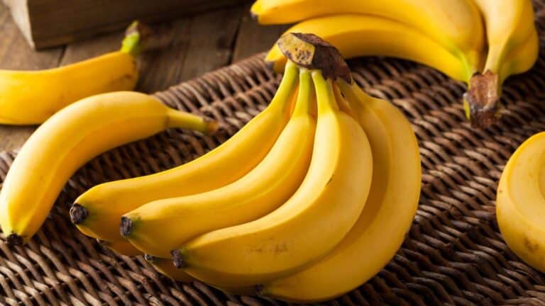 15 Best Fruits to Blend into Smoothies for Flavor and Nutrition - Blues ...