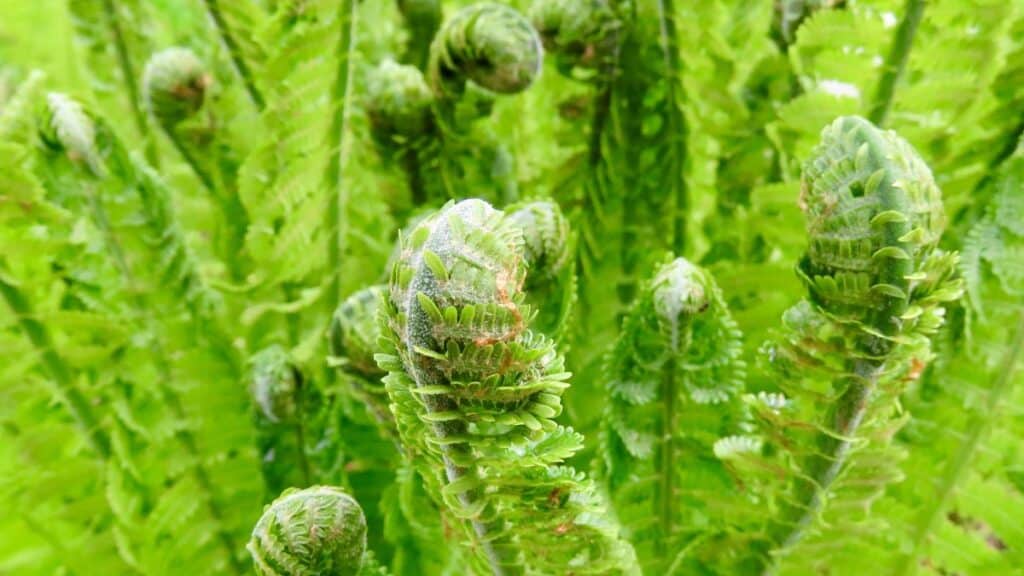 10 Mind-Blowing Foods That Look Like Other Objects (But Taste Amazing ...