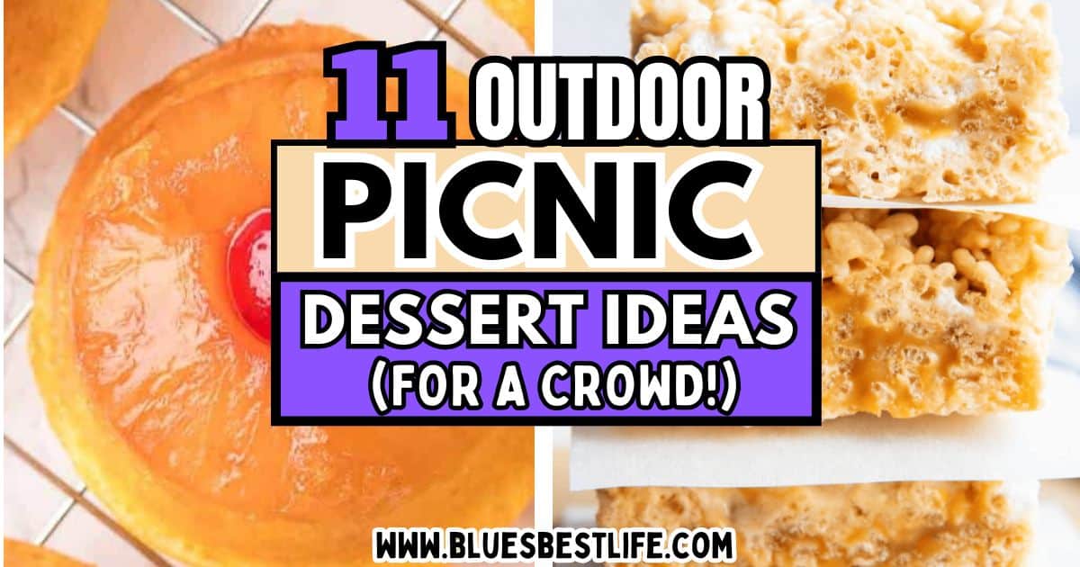 13 Easy Picnic Desserts - Blues Best Life