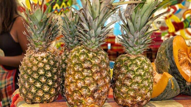 15 No-Bake Fruit Desserts That Taste Like Summer Anytime - Blues Best Life