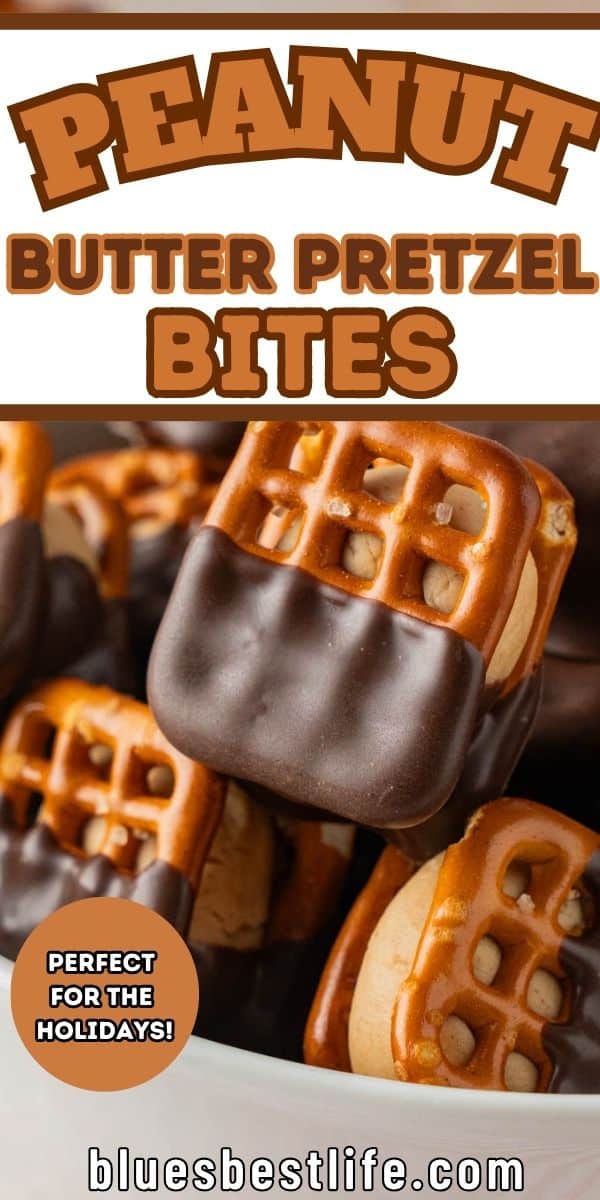 Chocolate Dipped Peanut Butter Pretzel Bites - Blues Best Life