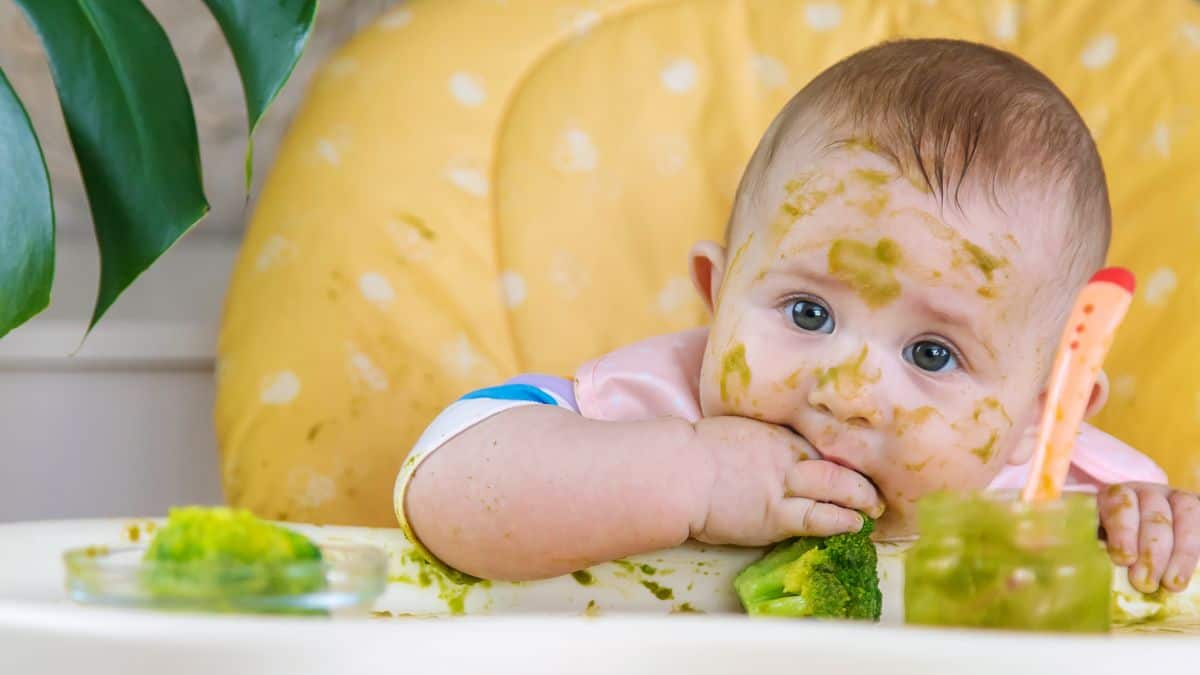12 Surprisingly Entertaining Foods That Make Baby Purees Way Less ...