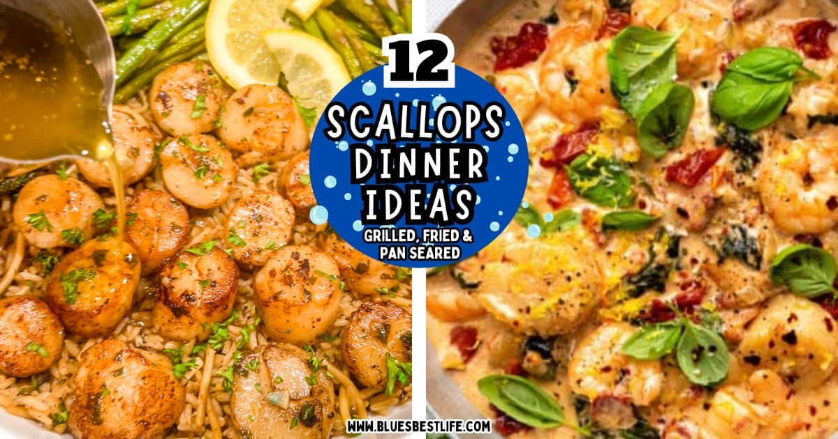 12 Scallop Dinner Recipes - Blues Best Life